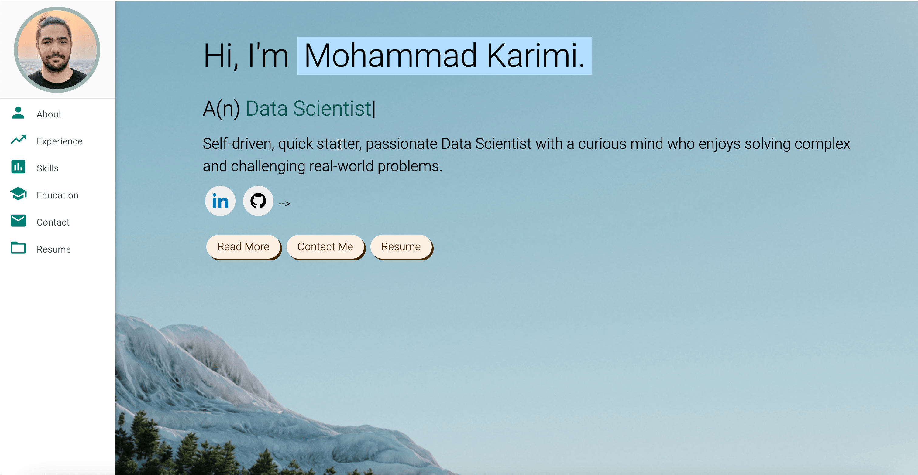 Mohammad Karimi | Data Scientist